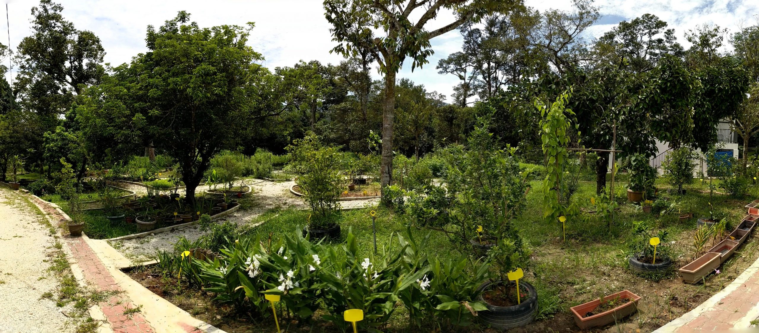 Home - Herbalwise Holdings