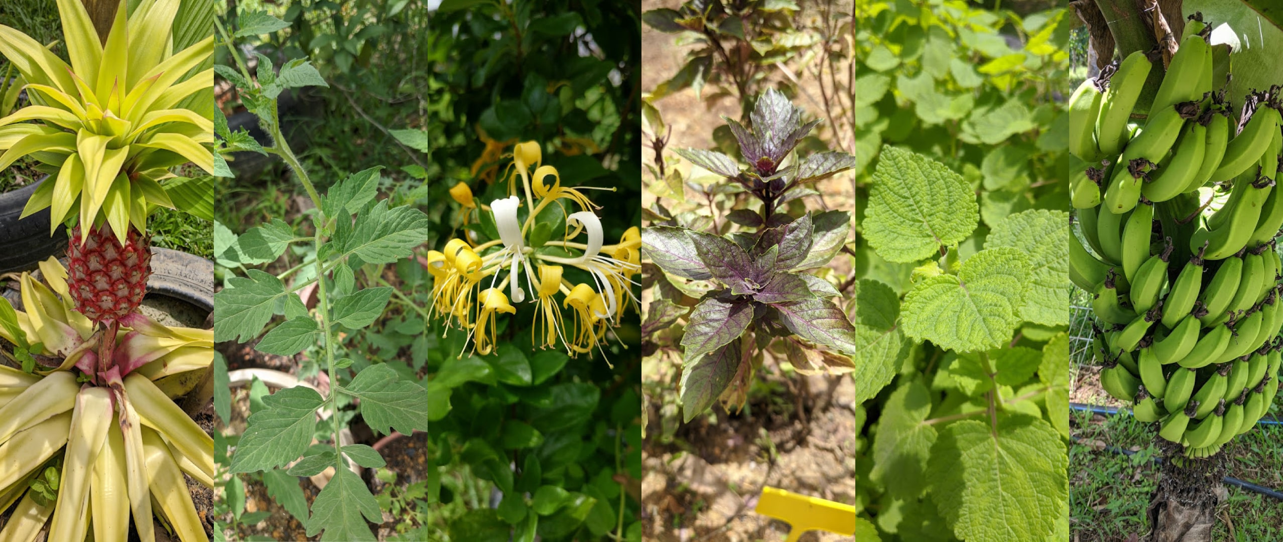 Home - Herbalwise Holdings