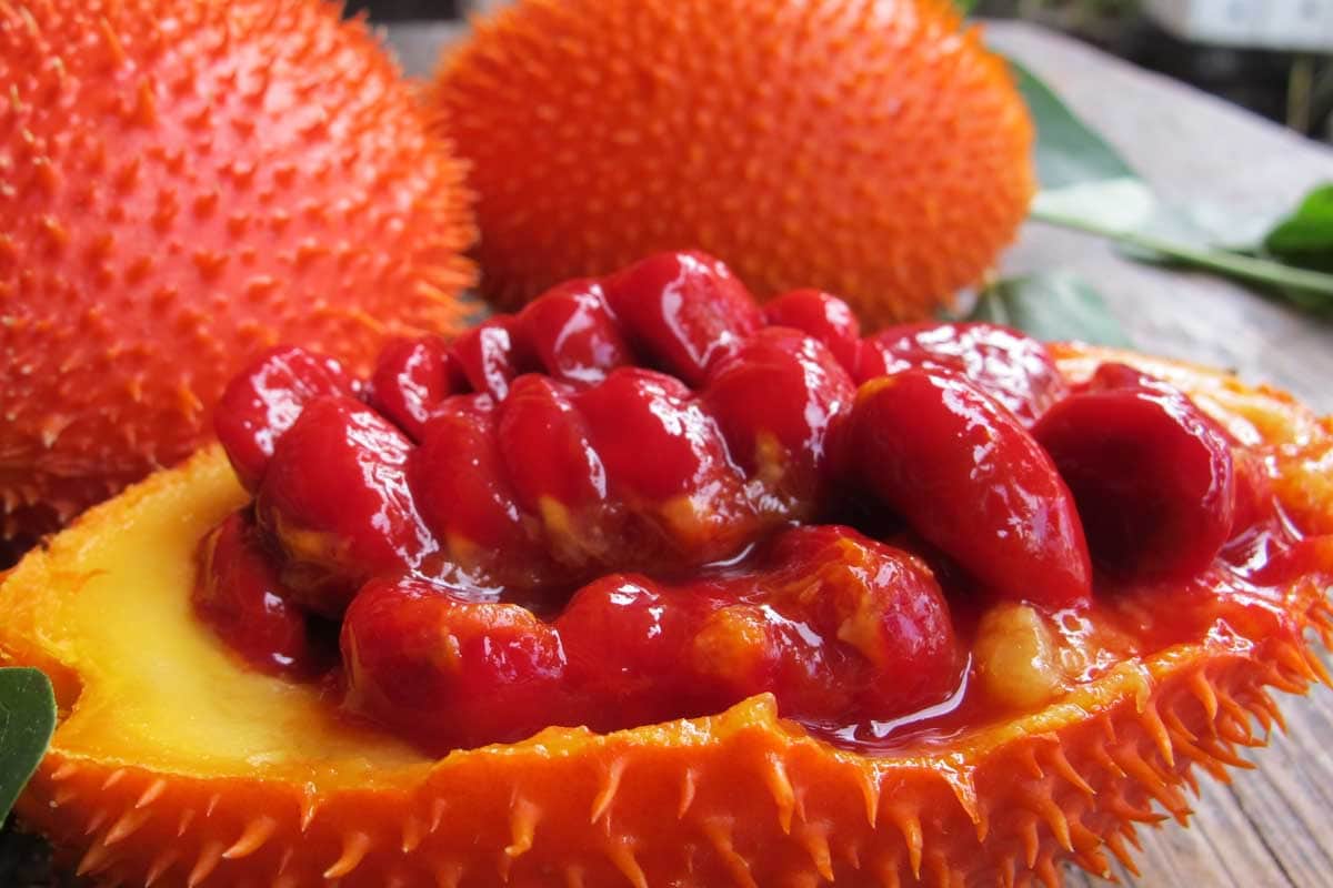Buah Gac / Gac Fruit - Herbalwise Holdings